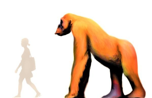 Gigantopithecus, el homínido más grande conocido que habito la Tierra ...